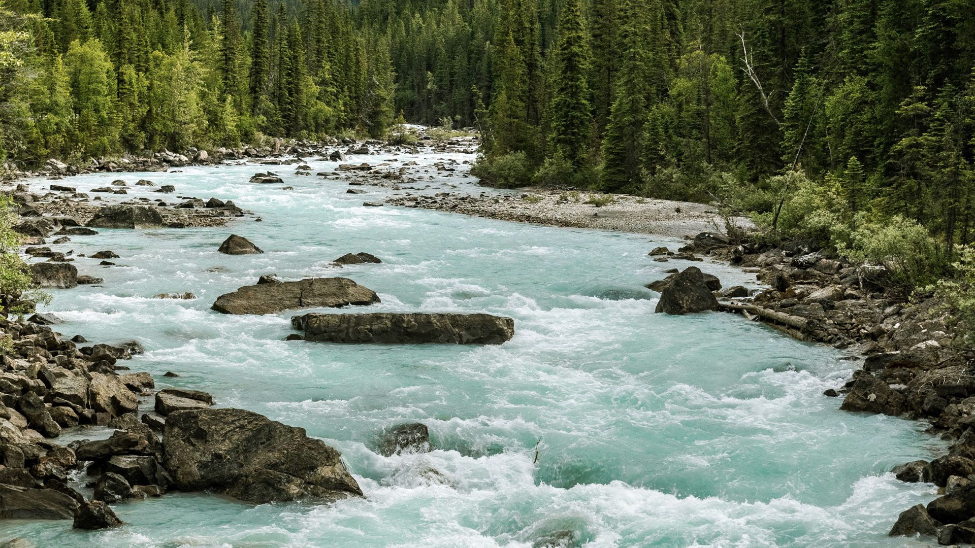 Matt Crummy: Essays, art, and culture