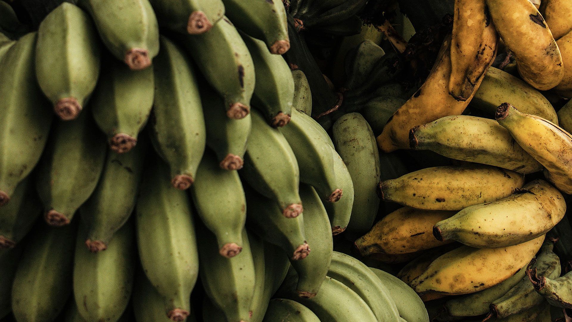 Matt Crummy: Personal growth, art, and culture